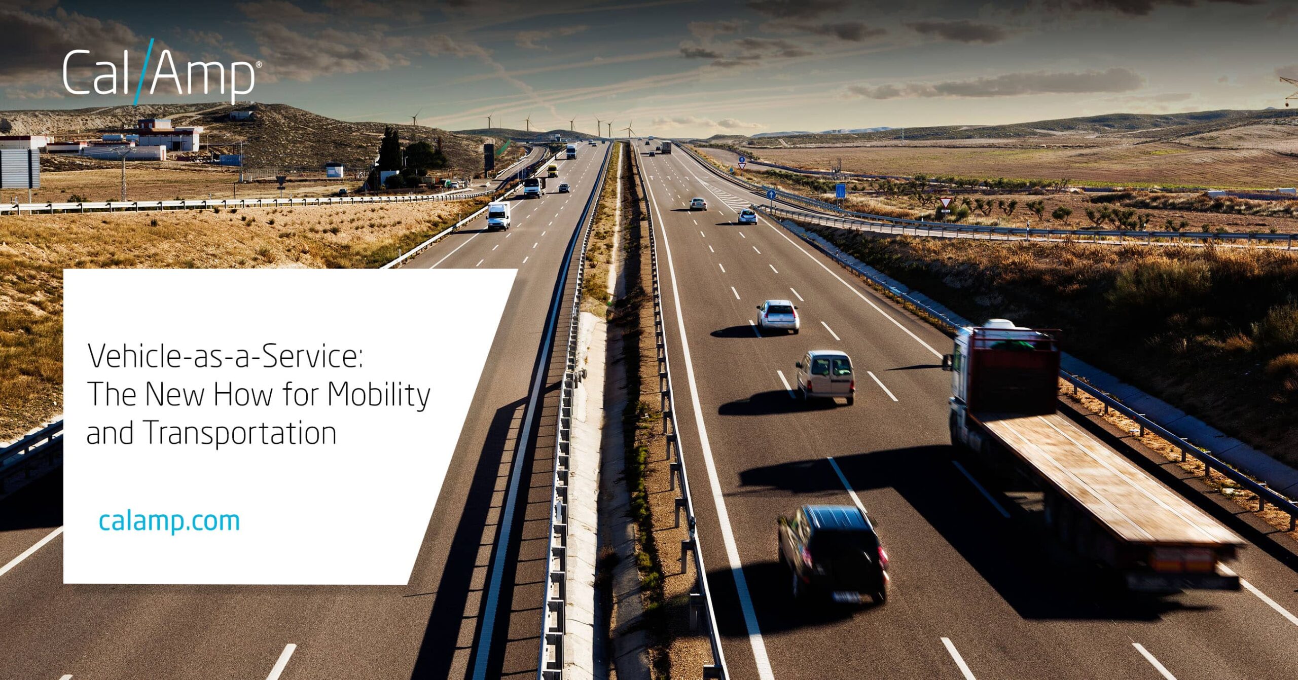 Vehicle-as-a-Service: The New How for Mobility and Transportation
