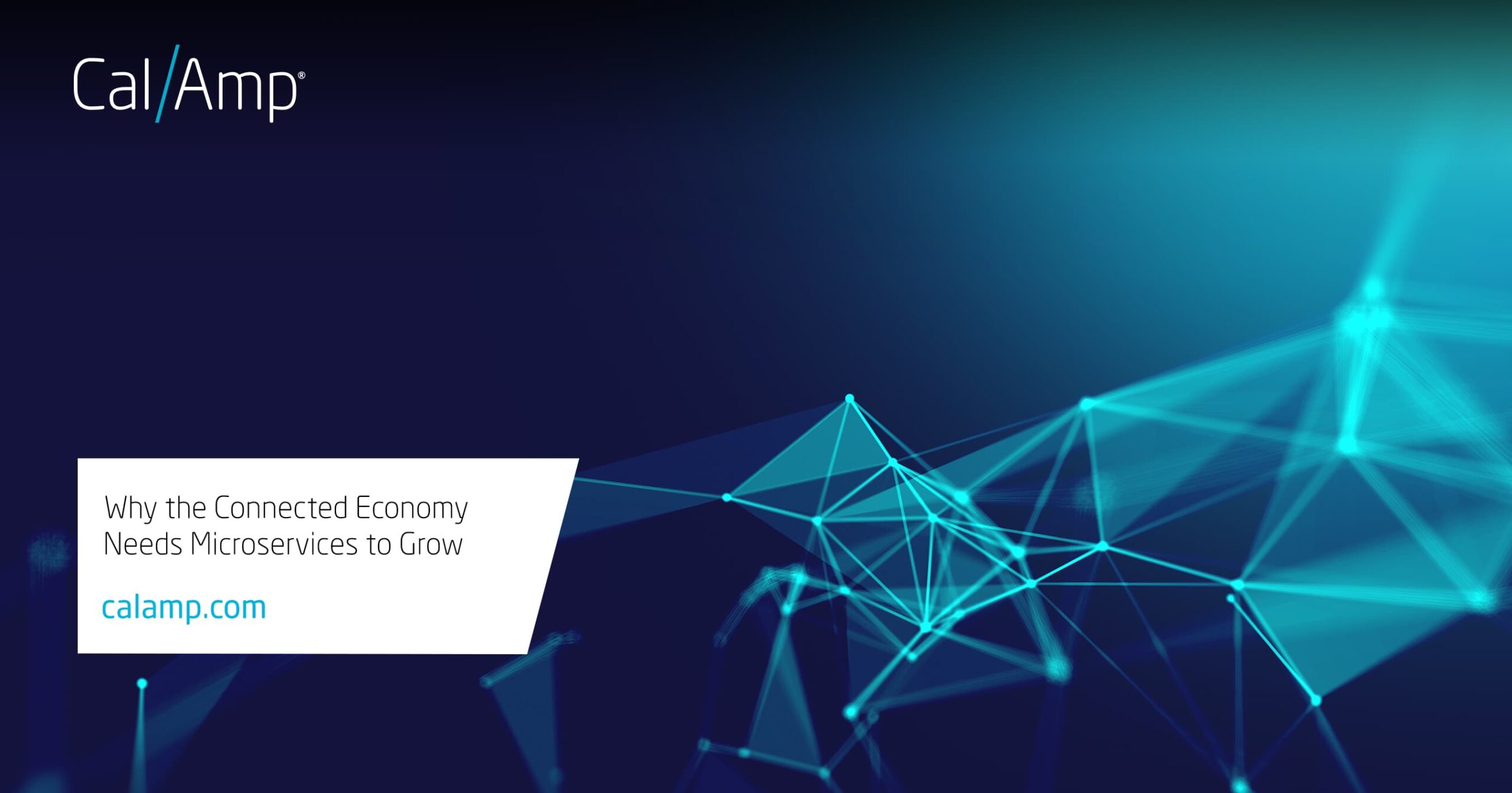 Why the Connected Economy Needs Microservices to Grow